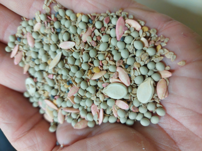 Kakovostna semena so pomembna za setev | KGZ Celje