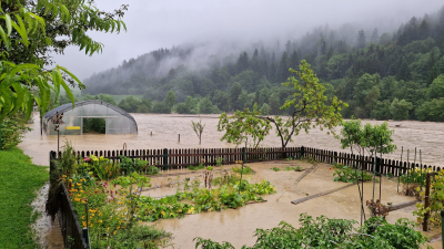 Poplave in zelenjava | KGZ Celje